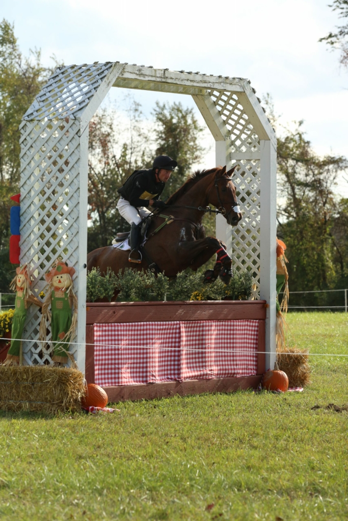 Portable Competition Jumps - ETB Equine Construction