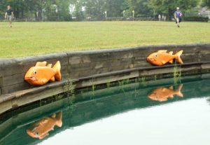 Permanent Competition Jumps - ETB Equine Construction